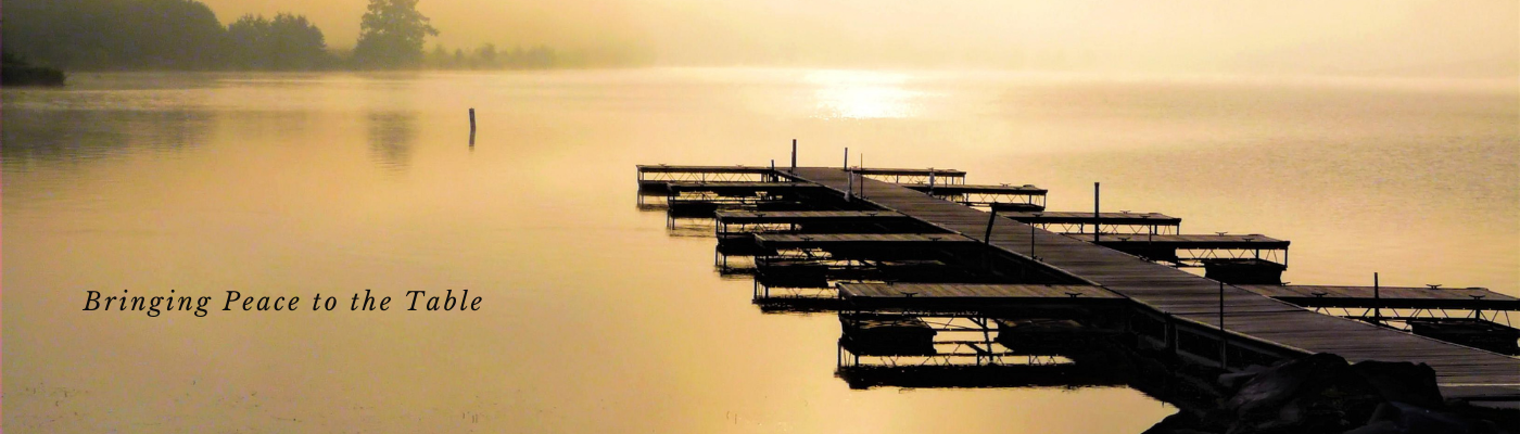 Parenting Plans - Tracey-Leigh Wessels & Associates